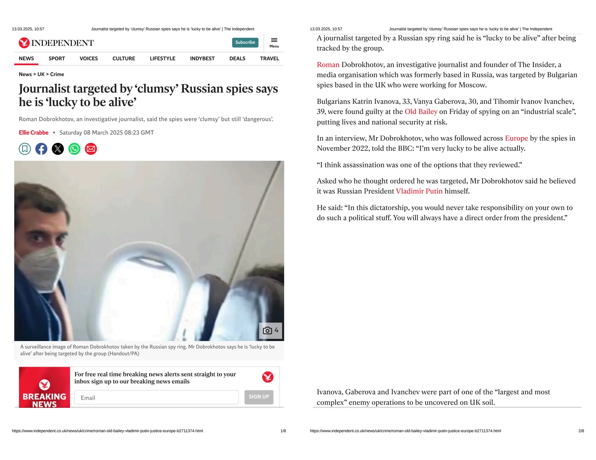 Russian Spies Target Journalist Roman Dobrokhotov in the UK | PPT