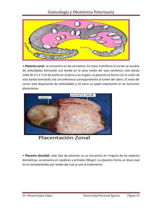 Ginecología Veterinaria | PDF