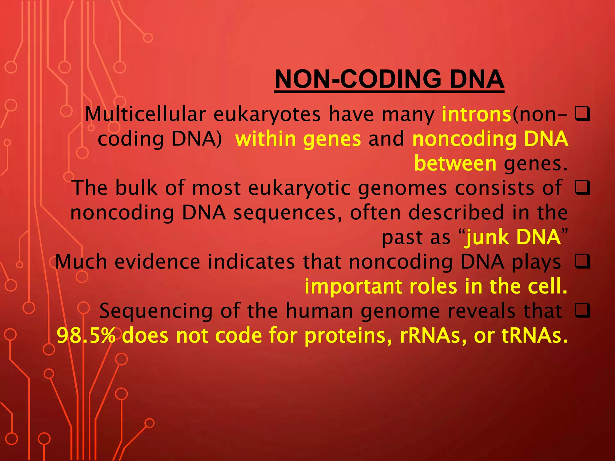 DNA SLIDES GRADE 12 LIFE SCIENCES | PPTX