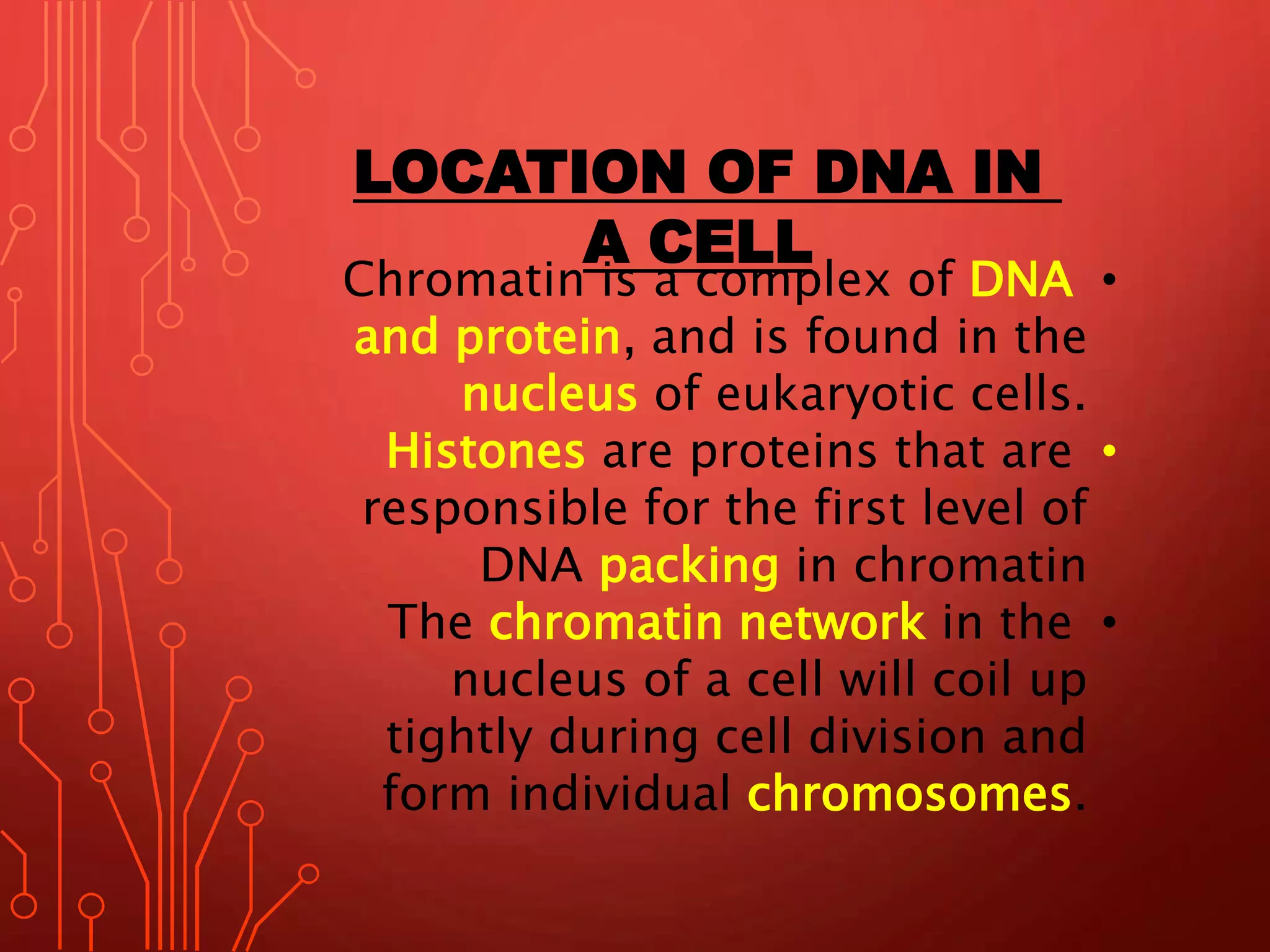 DNA SLIDES GRADE 12 LIFE SCIENCES | PPTX