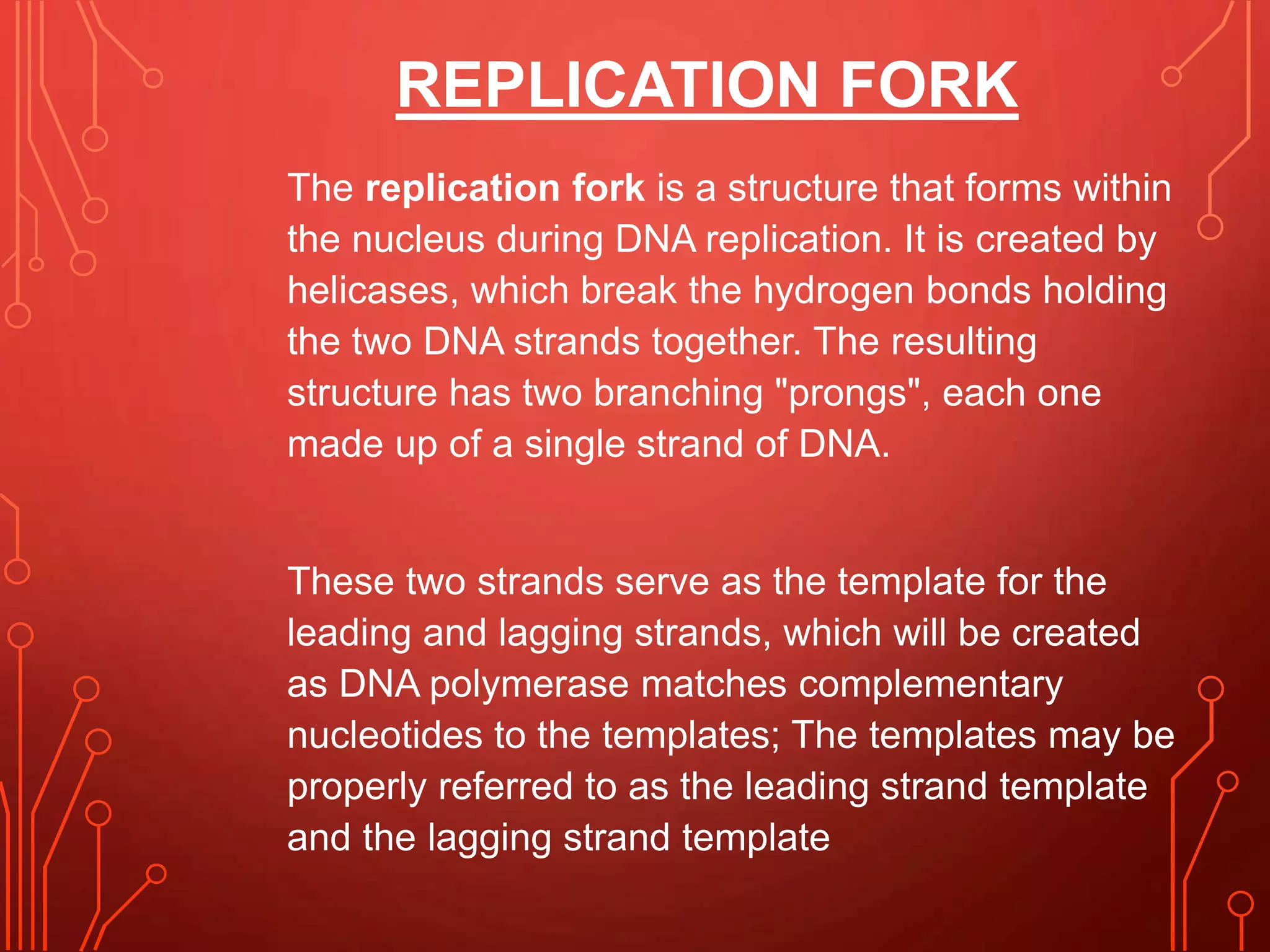 DNA SLIDES GRADE 12 LIFE SCIENCES | PPTX
