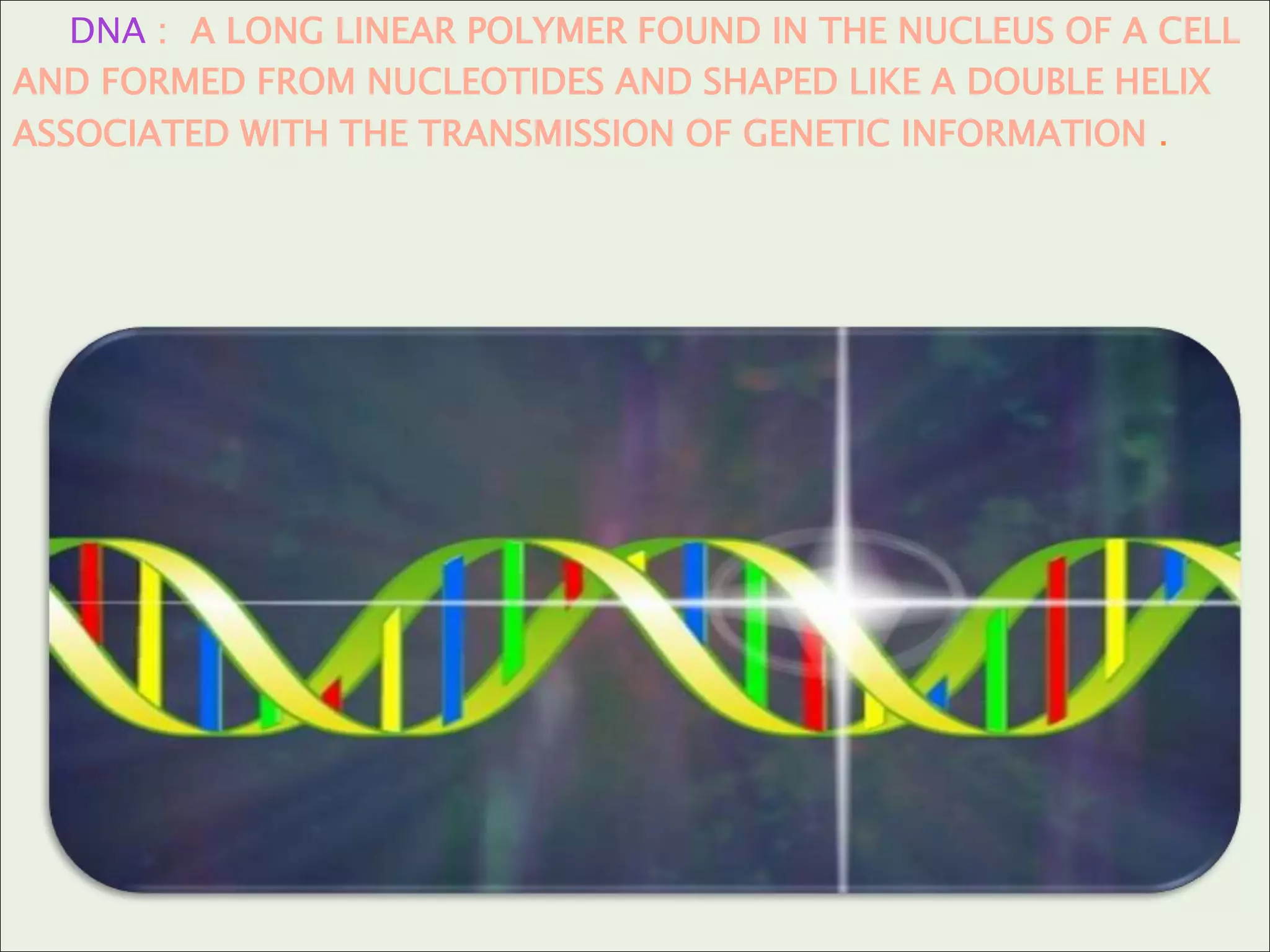 DNA SLIDES GRADE 12 LIFE SCIENCES | PPTX