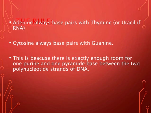 DNA SLIDES GRADE 12 LIFE SCIENCES | PPTX
