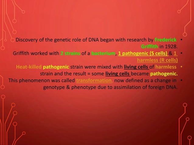DNA SLIDES GRADE 12 LIFE SCIENCES | PPTX