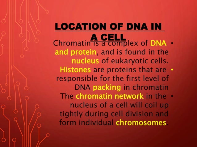 DNA SLIDES GRADE 12 LIFE SCIENCES | PPTX