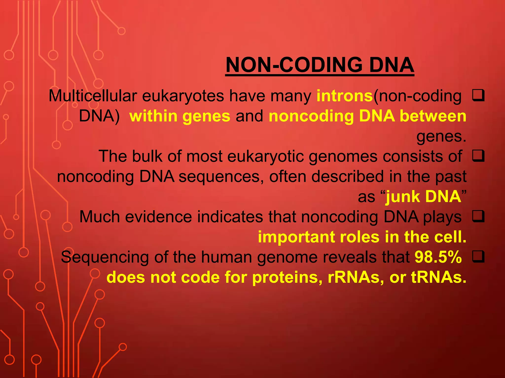 DNA Grade 12 | PPTX