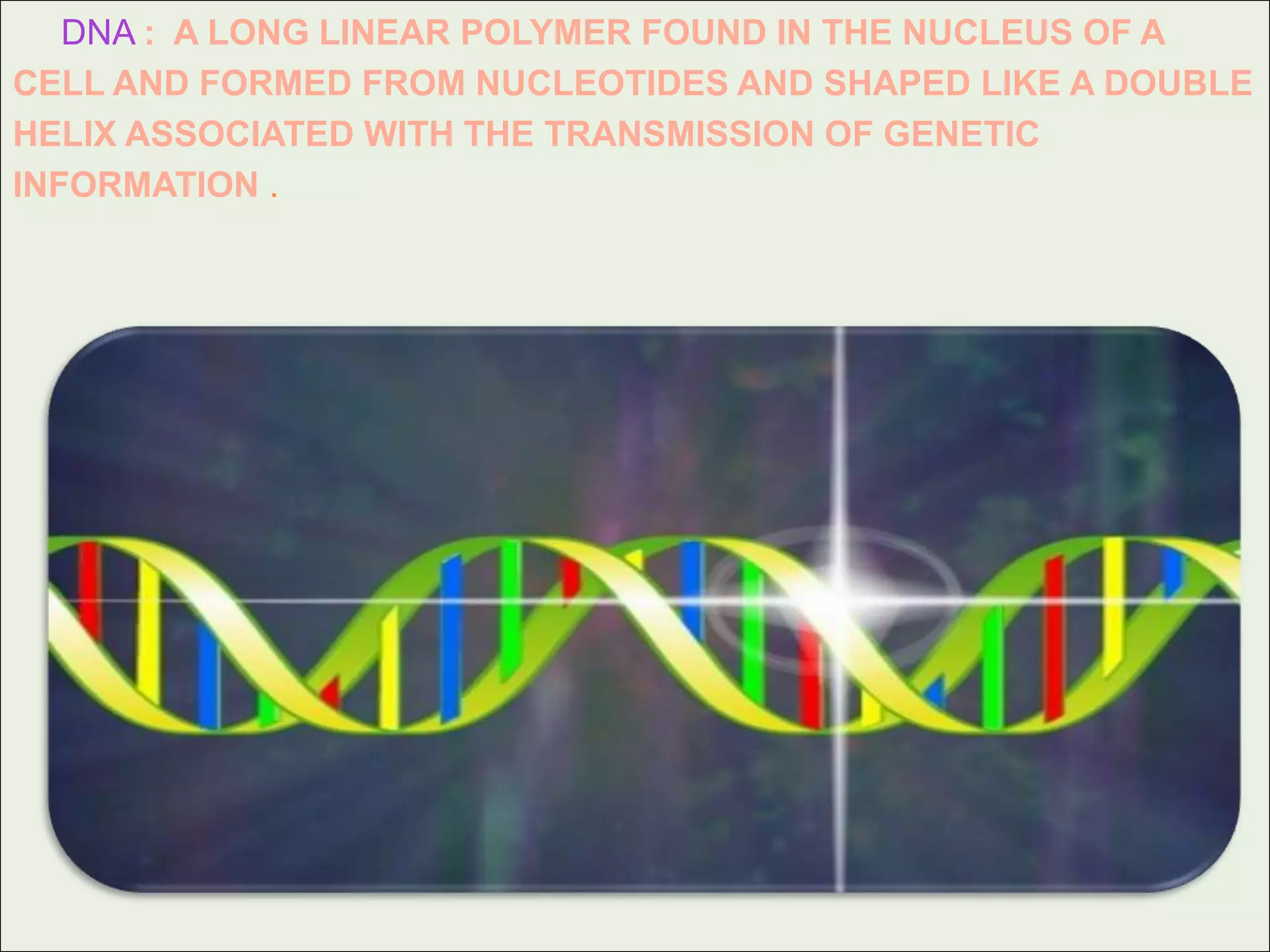 DNA Grade 12 | PPTX