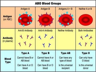 ABO BLOOD GROUP | PPTX
