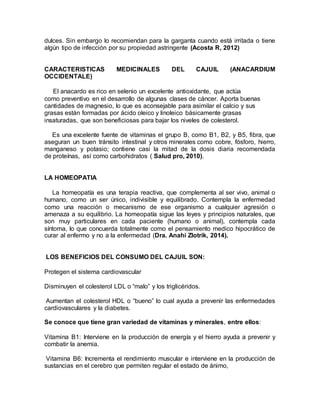 EVALUACION MEDICIONAL SOBRE LOS EFECTOS DEL CAJUIL (ANACARDIUM ...