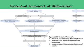 Micronutrient Malnutrition (Hidden Hunger) | PPTX