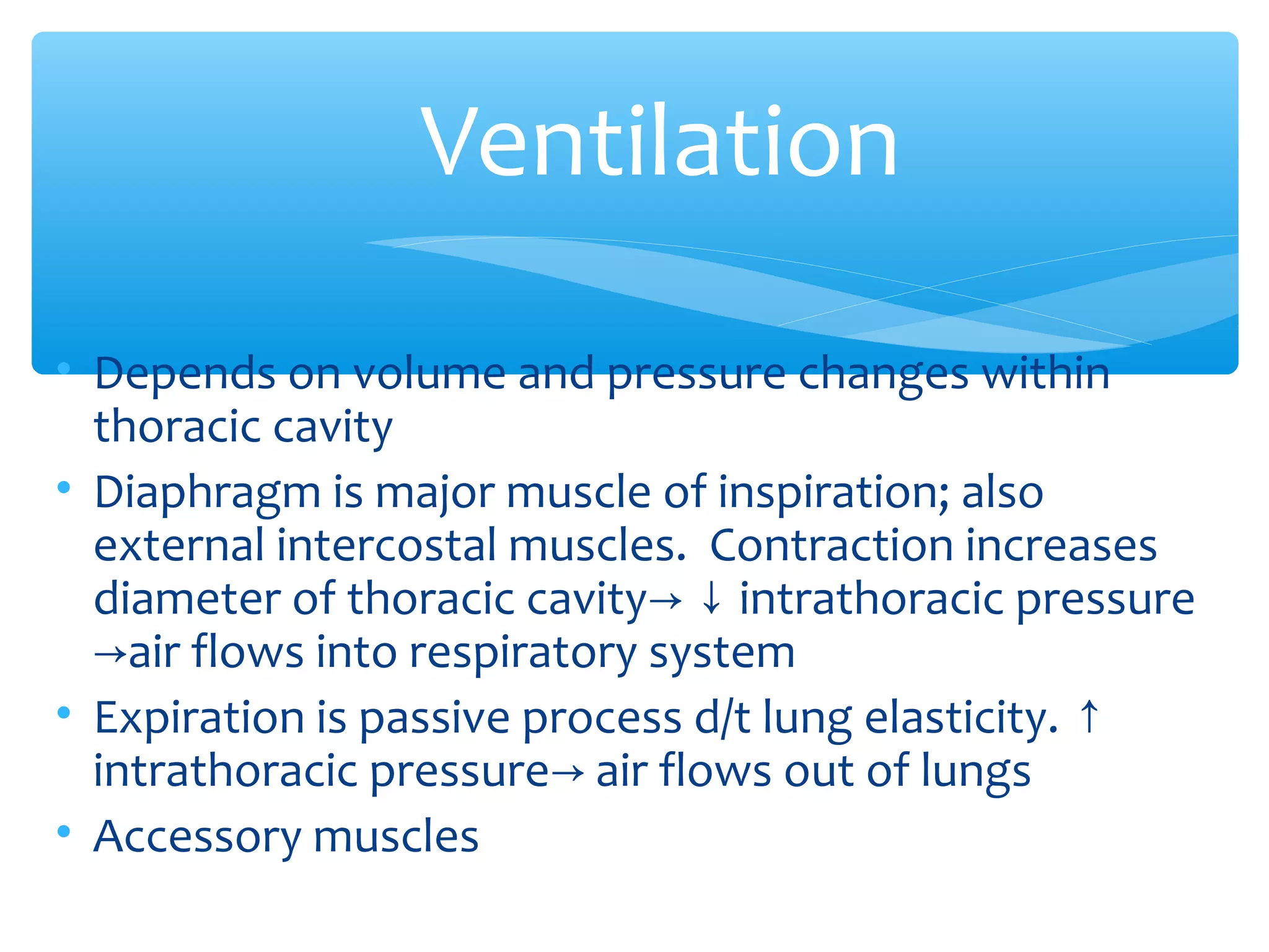 Structure and function of Respiratory System | PPT