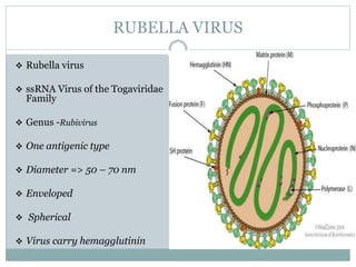 RUBELLA | PPTX