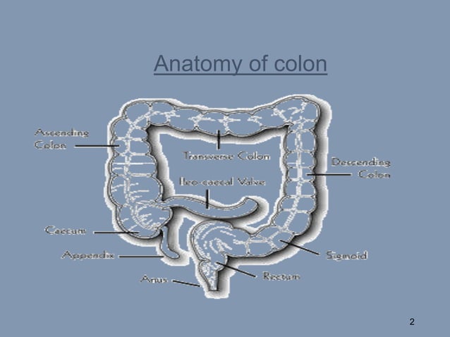 Colon targeted drug delivery system | PPT