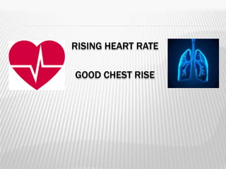 Neonatal resuscitation guidlines | PPT