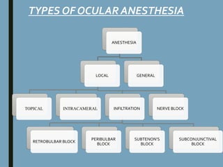 Ocular anesthesia | PPTX