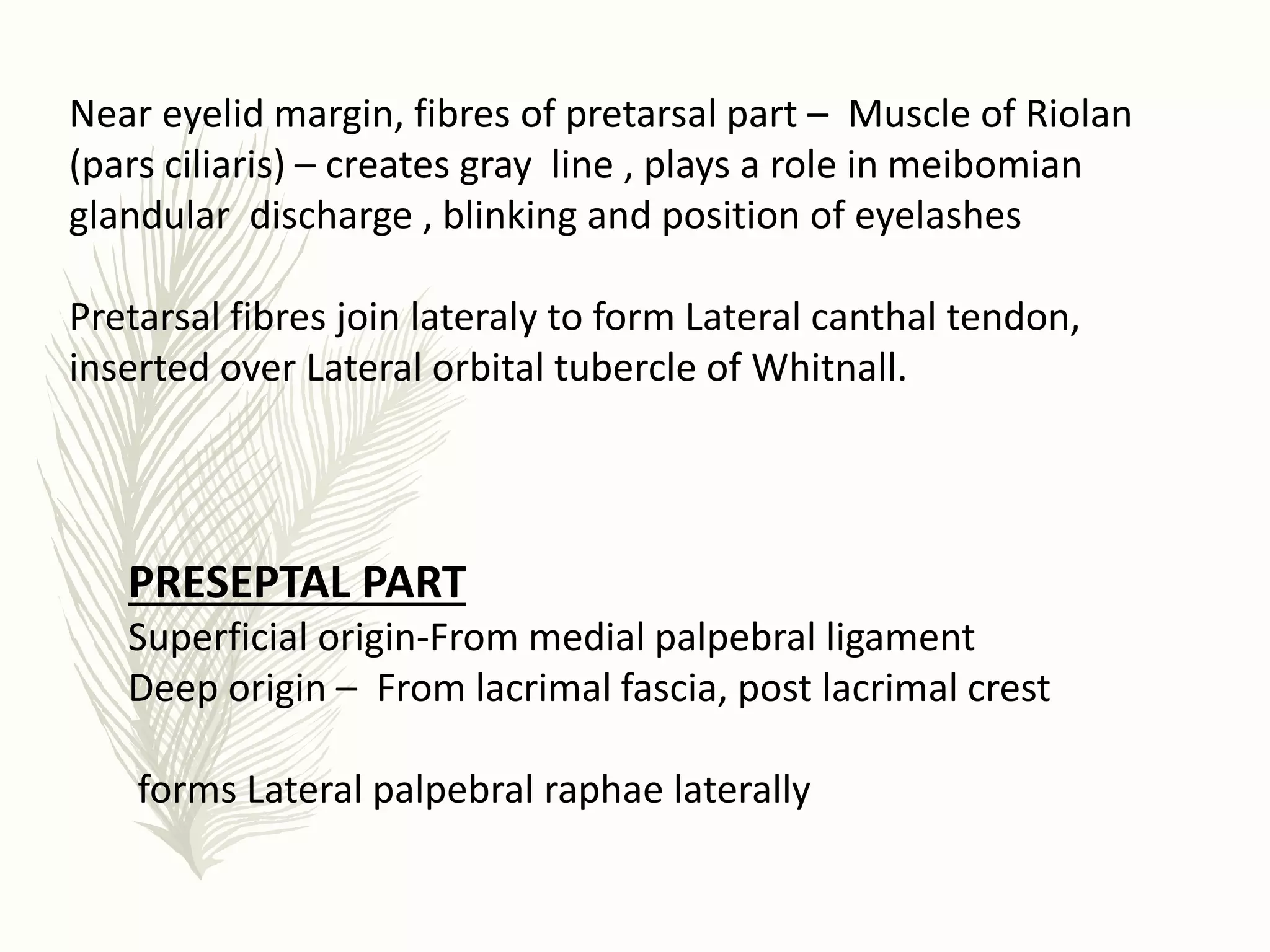 Surgical anatomy of eyelid | PPTX