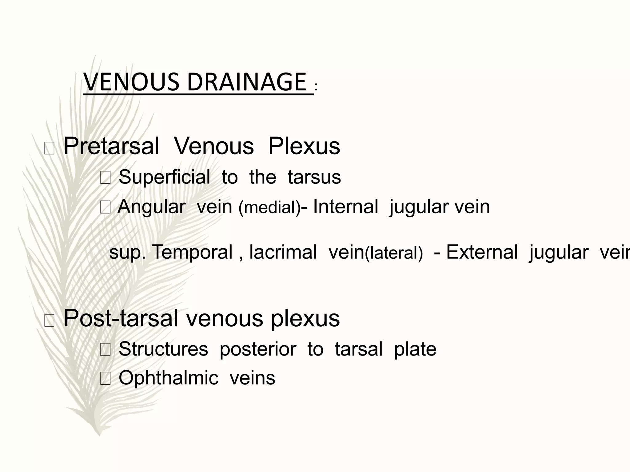 Surgical anatomy of eyelid | PPTX