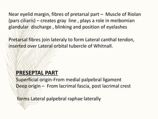 Surgical anatomy of eyelid | PPTX