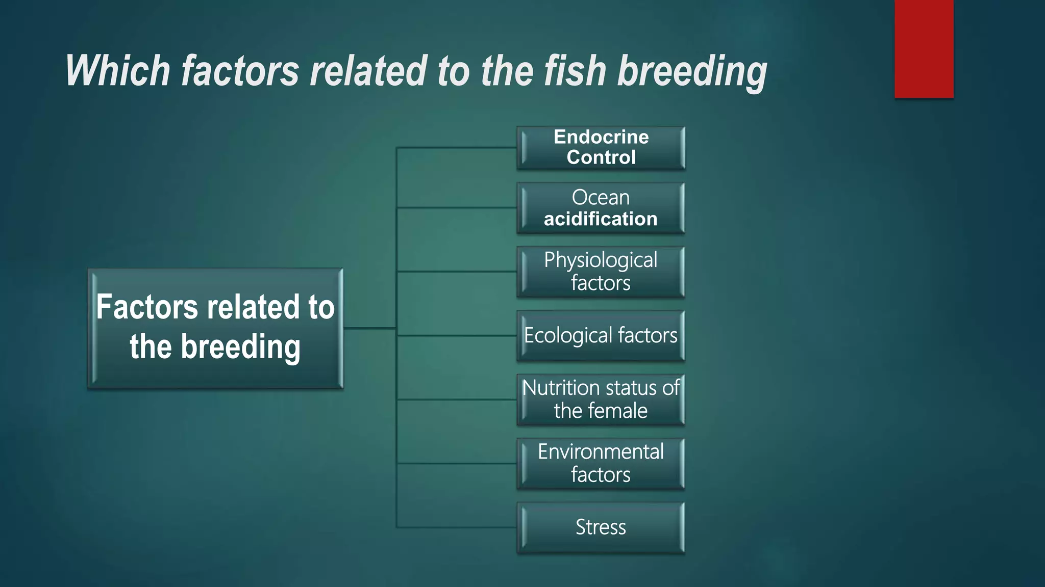 FACTORS RELATED TO FISH BREEDING | PPTX