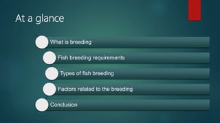 FACTORS RELATED TO FISH BREEDING | PPTX