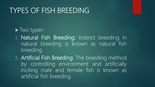 FACTORS RELATED TO FISH BREEDING | PPTX