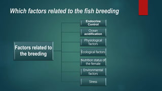 FACTORS RELATED TO FISH BREEDING | PPTX