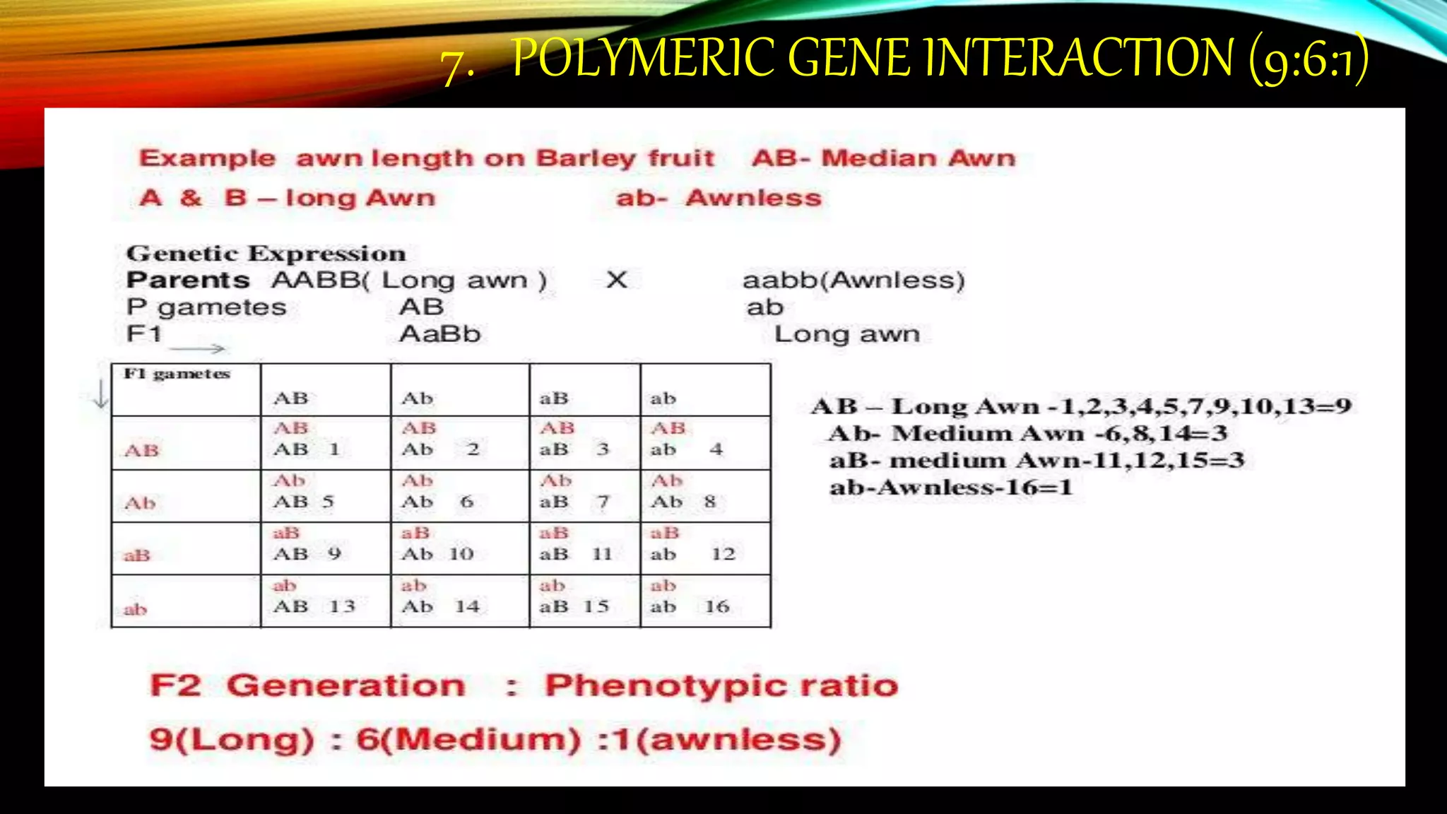 Gene Interaction | PPTX