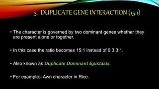 Gene Interaction | PPTX