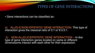 Gene Interaction | PPTX