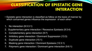 Gene Interaction | PPTX