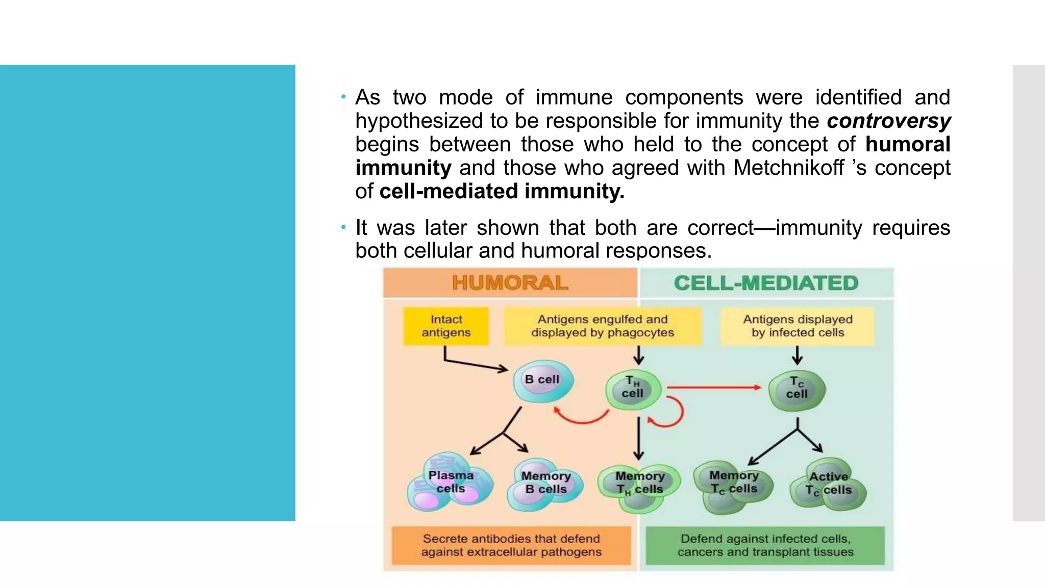 Theories of Immunity | PPTX