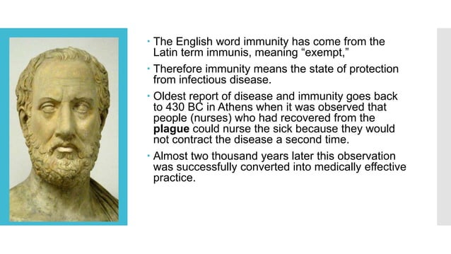 Theories of Immunity | PPTX