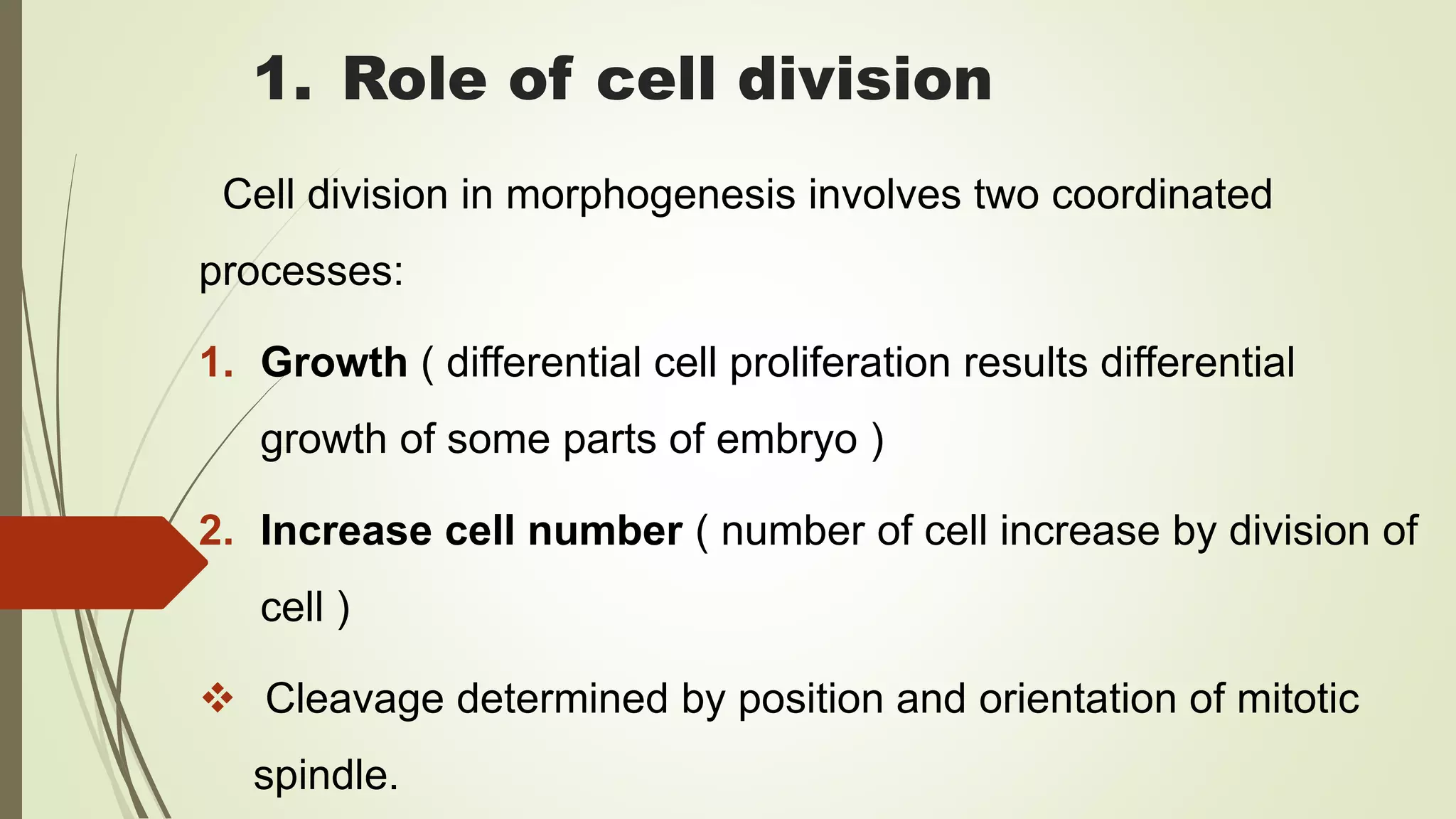 MORPHOGNESIS | PPTX