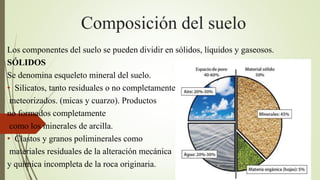 Estructura y composición del suelo por Lourdes Lanchimba | PPTX