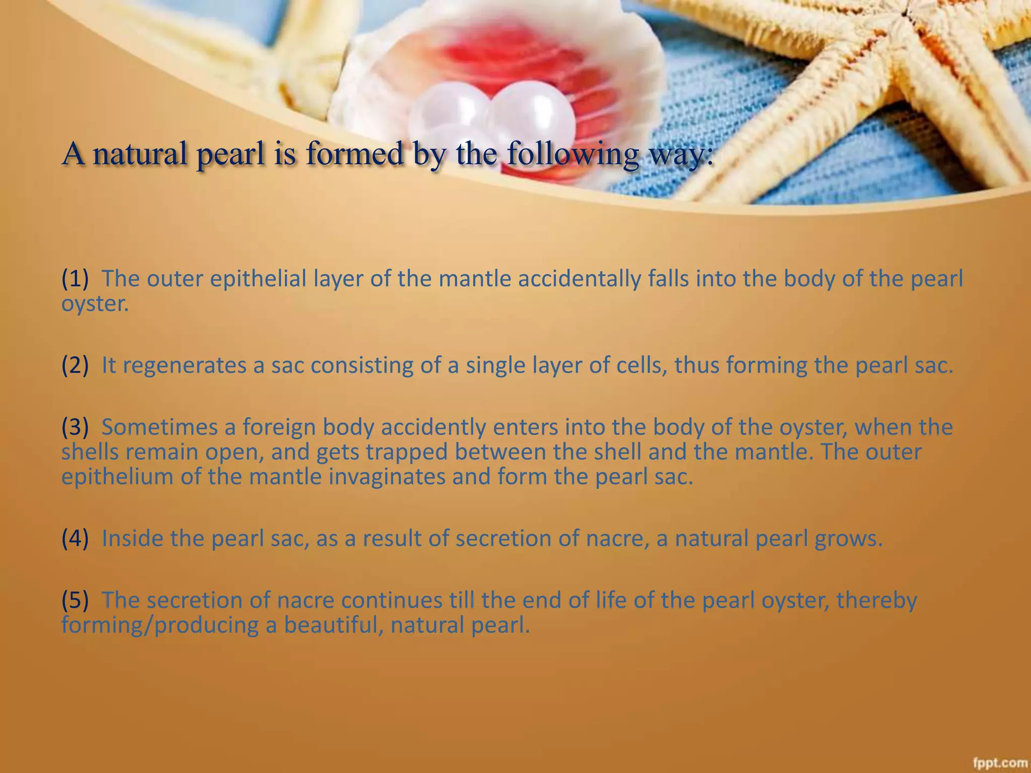 PEARL CULTURE | PPTX