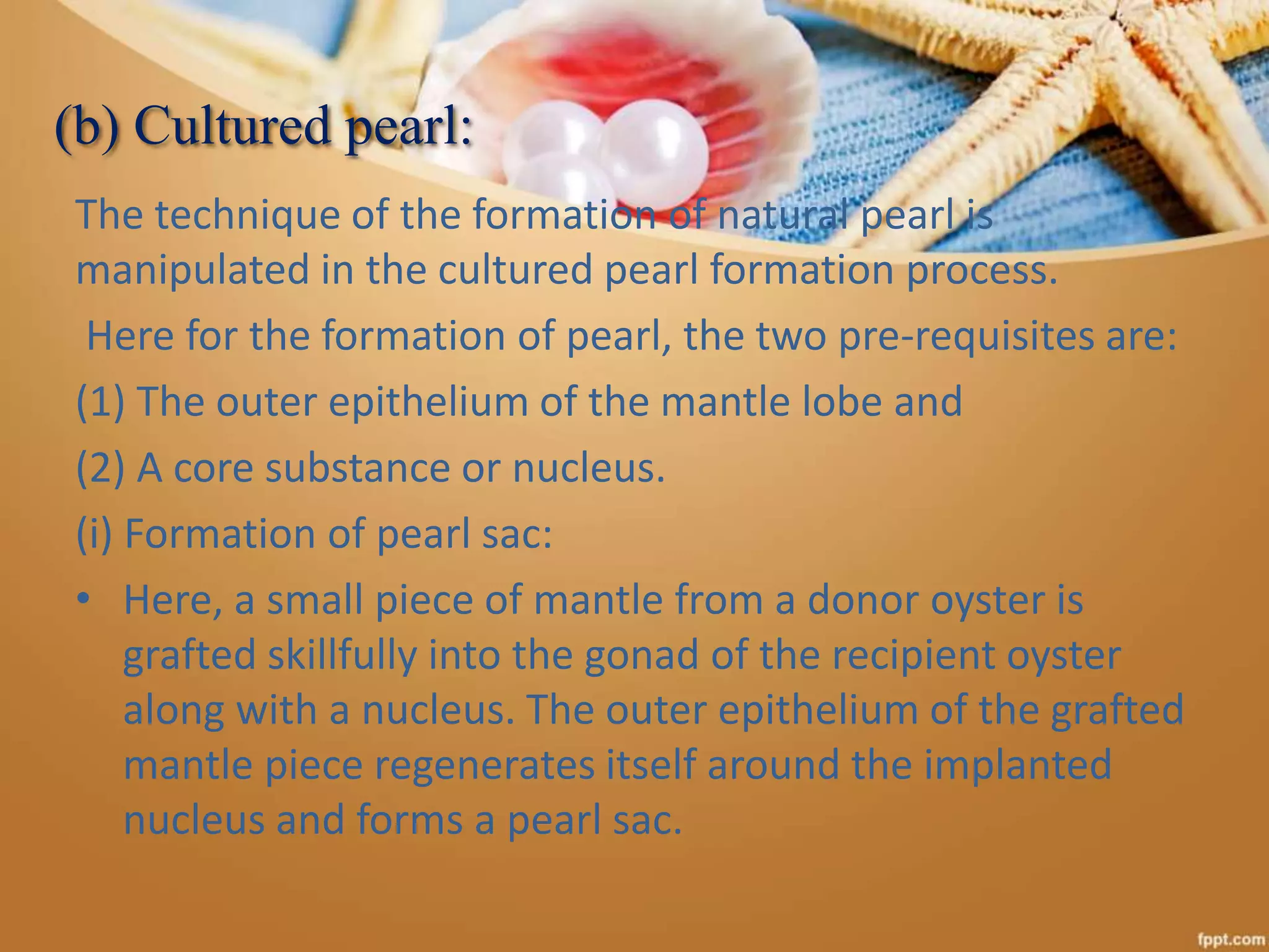 PEARL CULTURE | PPTX