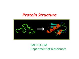 Protein Structure | PDF