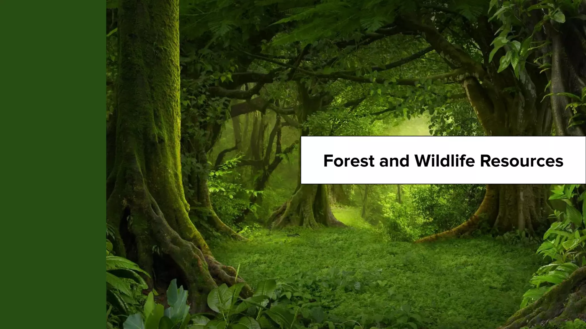 Forest and Wildlife Resources | PDF