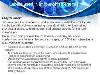 Immunohistochemistry | PPT