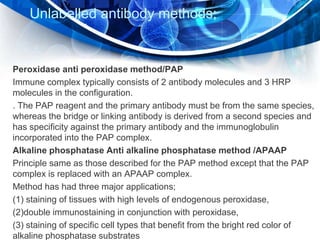Immunohistochemistry | PPT
