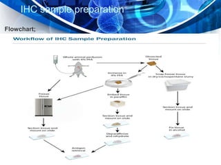 Immunohistochemistry | PPT