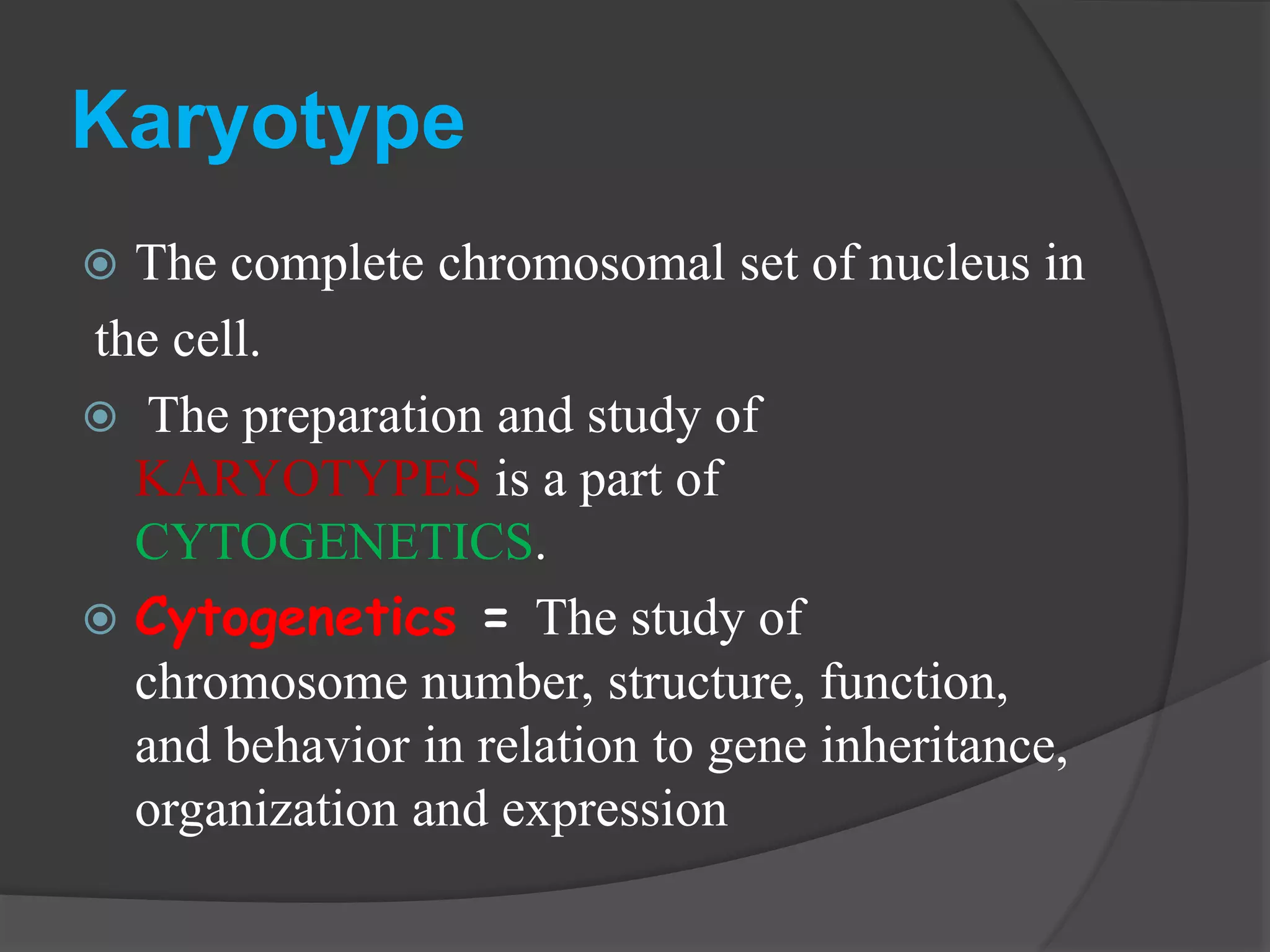 Karyotype.ppt