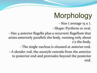 DOC-20220902-WA0004.pdf