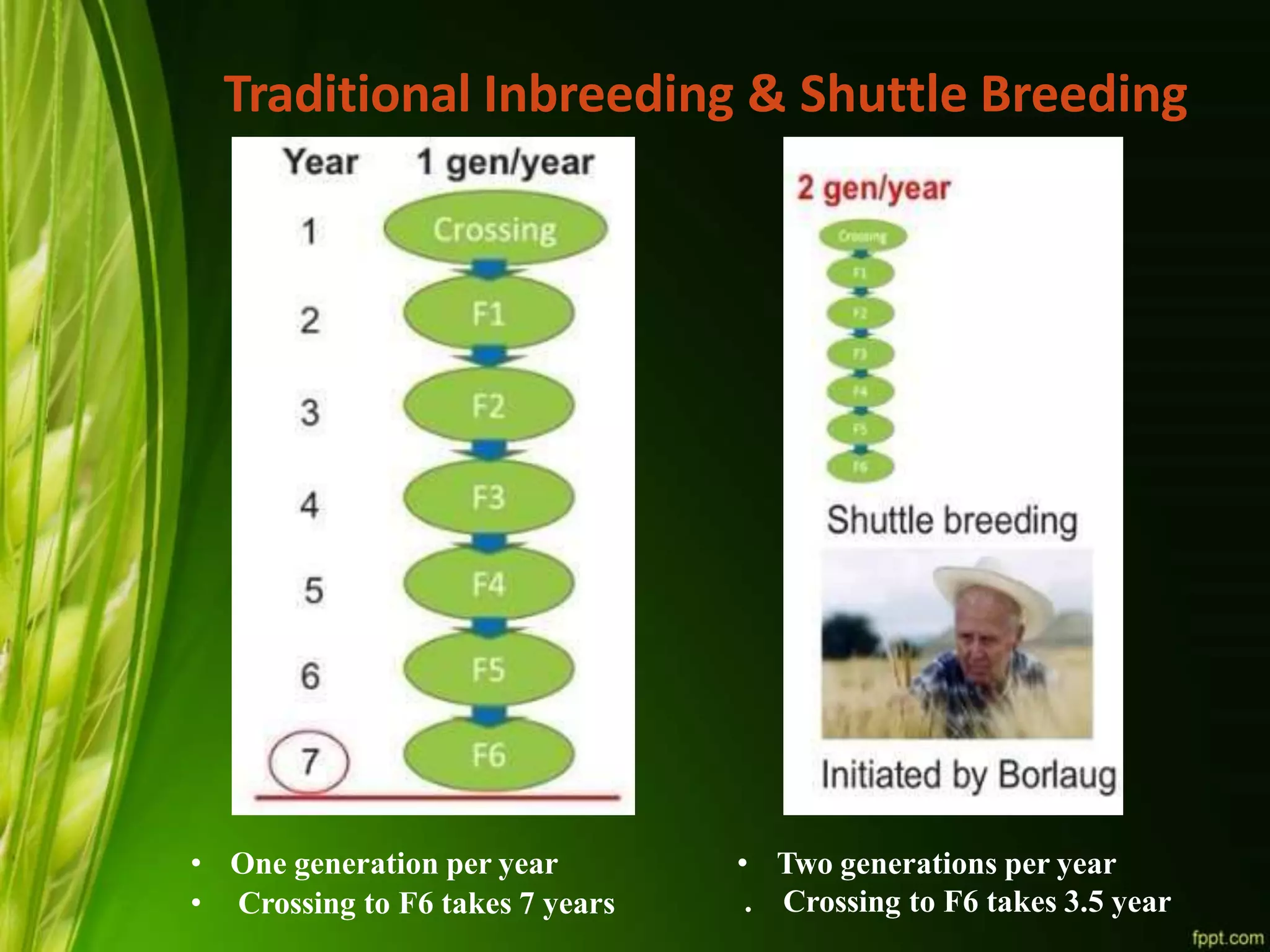 speed breeding a contemporary era of revolution.pptx