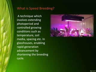 speed breeding a contemporary era of revolution.pptx