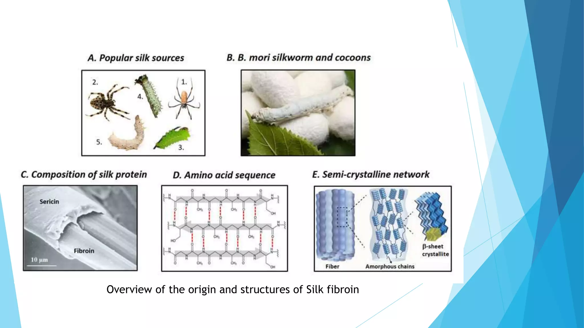 Presentation on economic importance of silk | PPTX