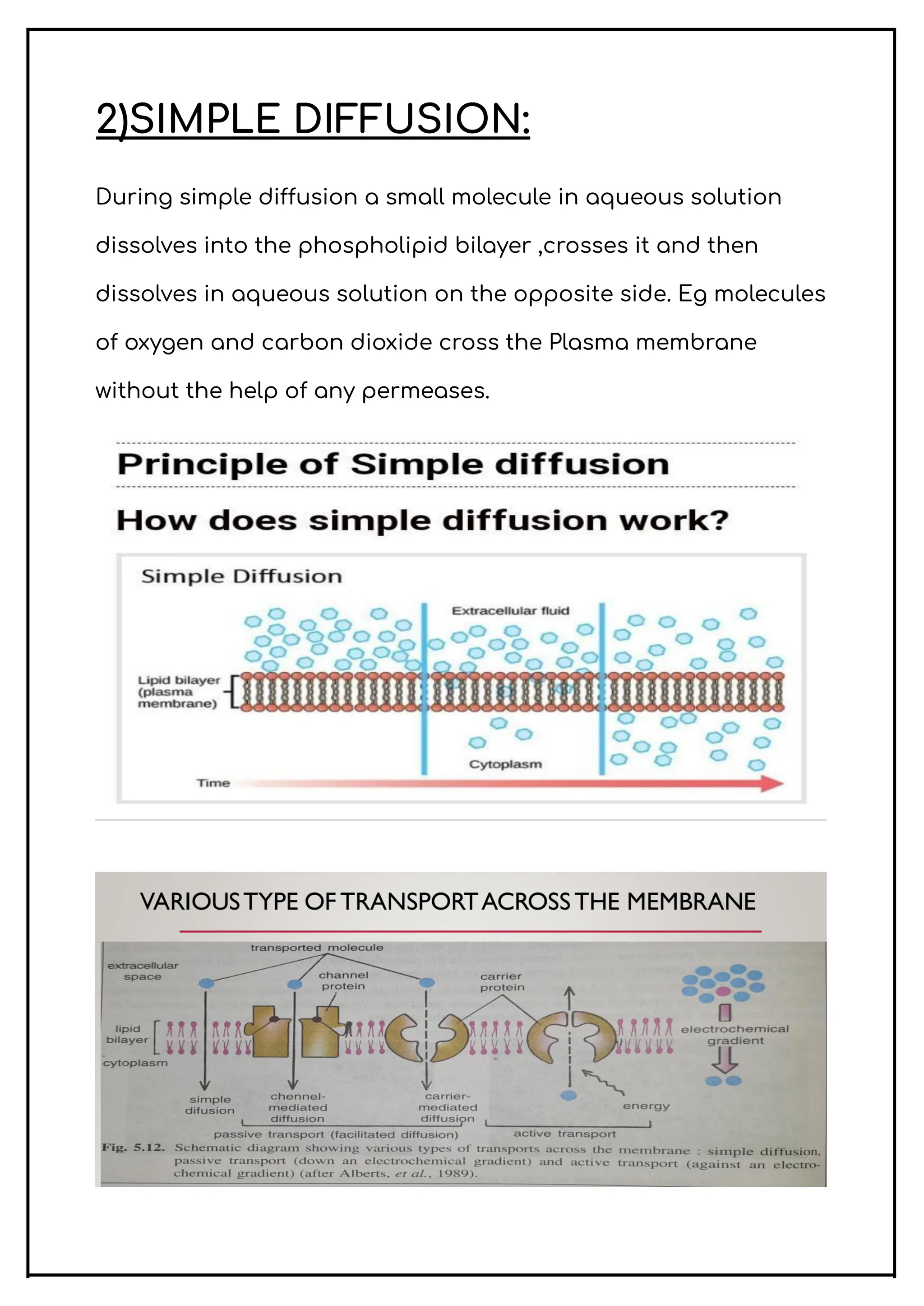 Membrane Channels And Pump | PDF