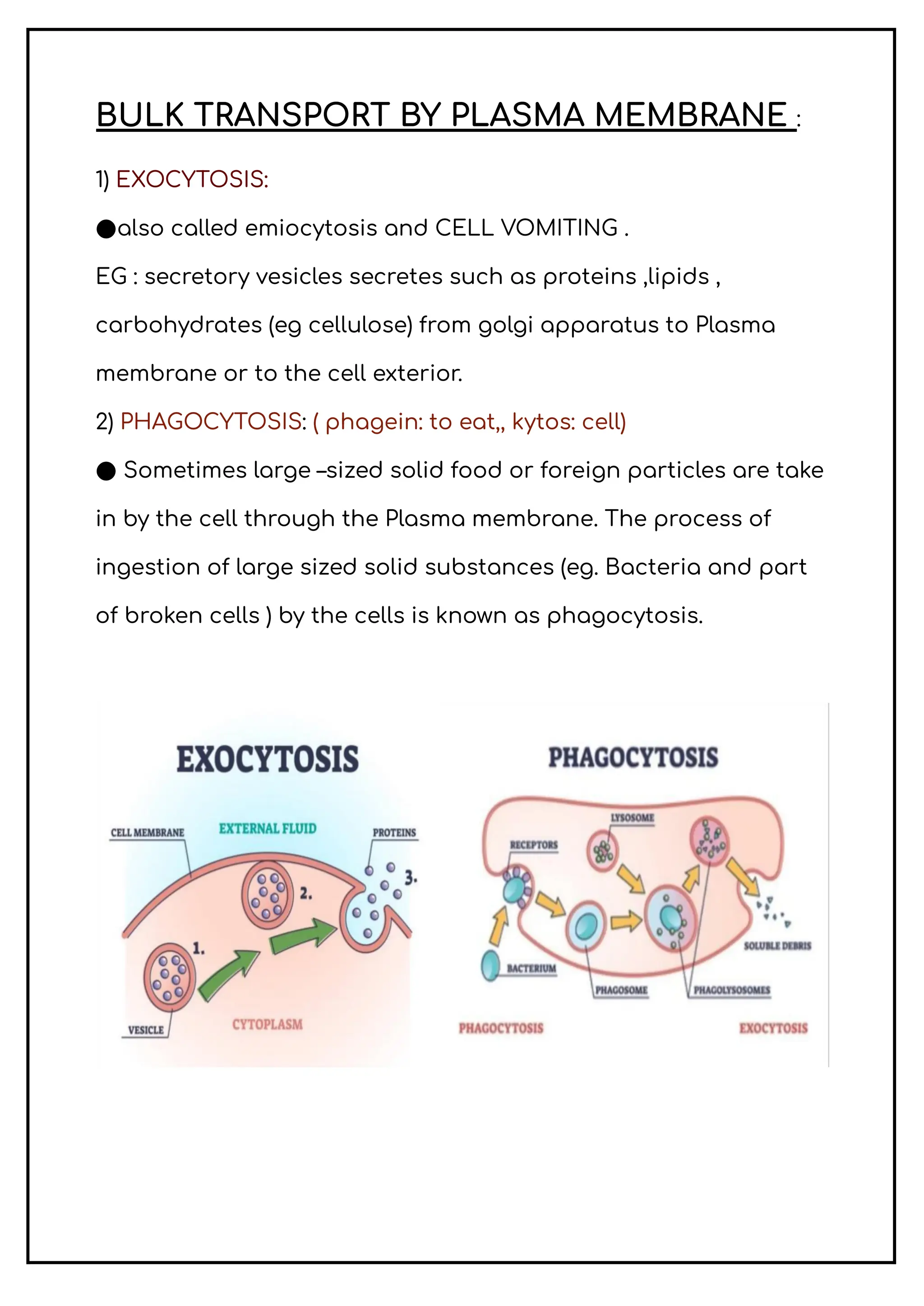 Membrane Channels And Pump | PDF
