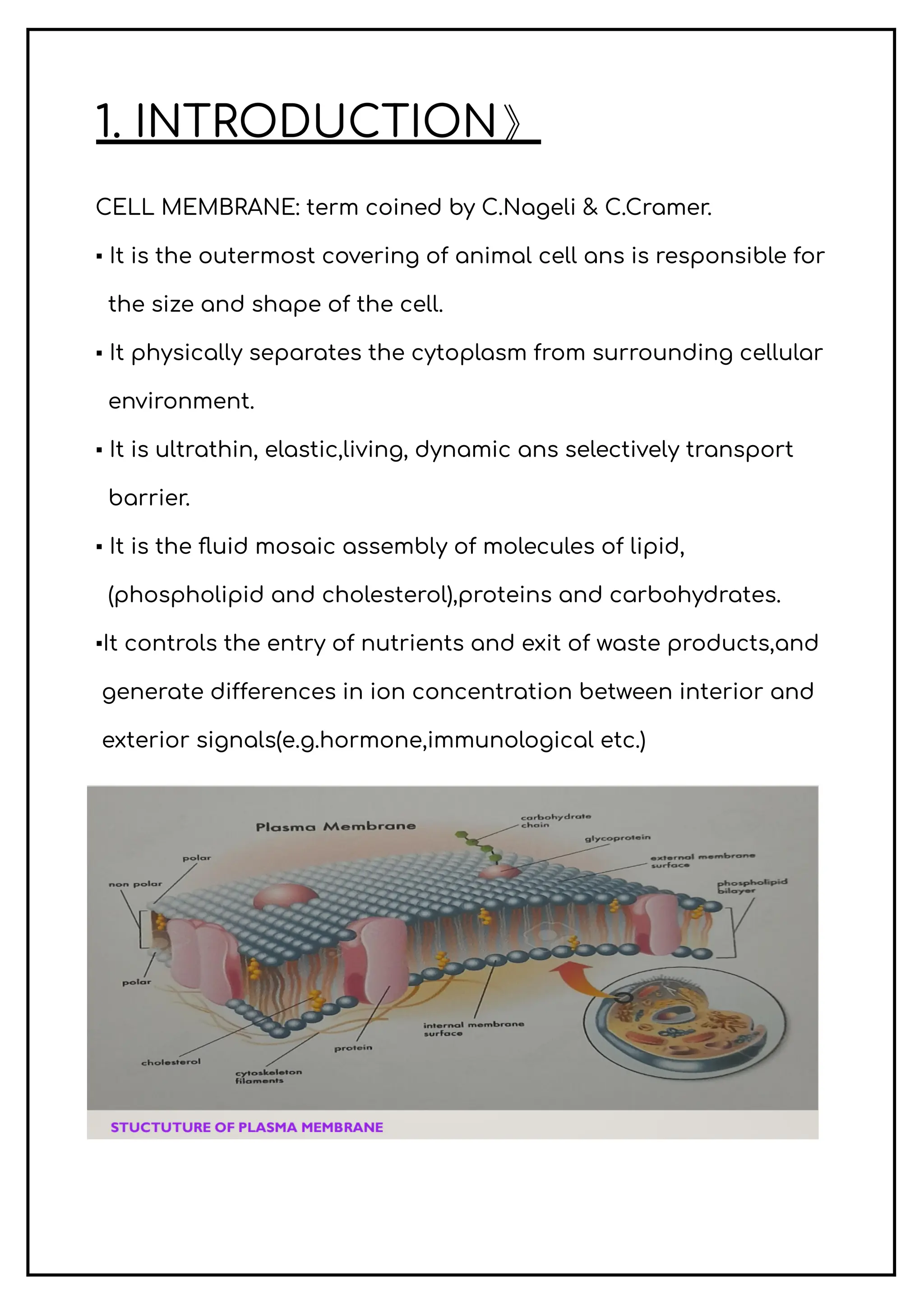 Membrane Channels And Pump | PDF