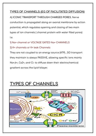 Membrane Channels And Pump | PDF